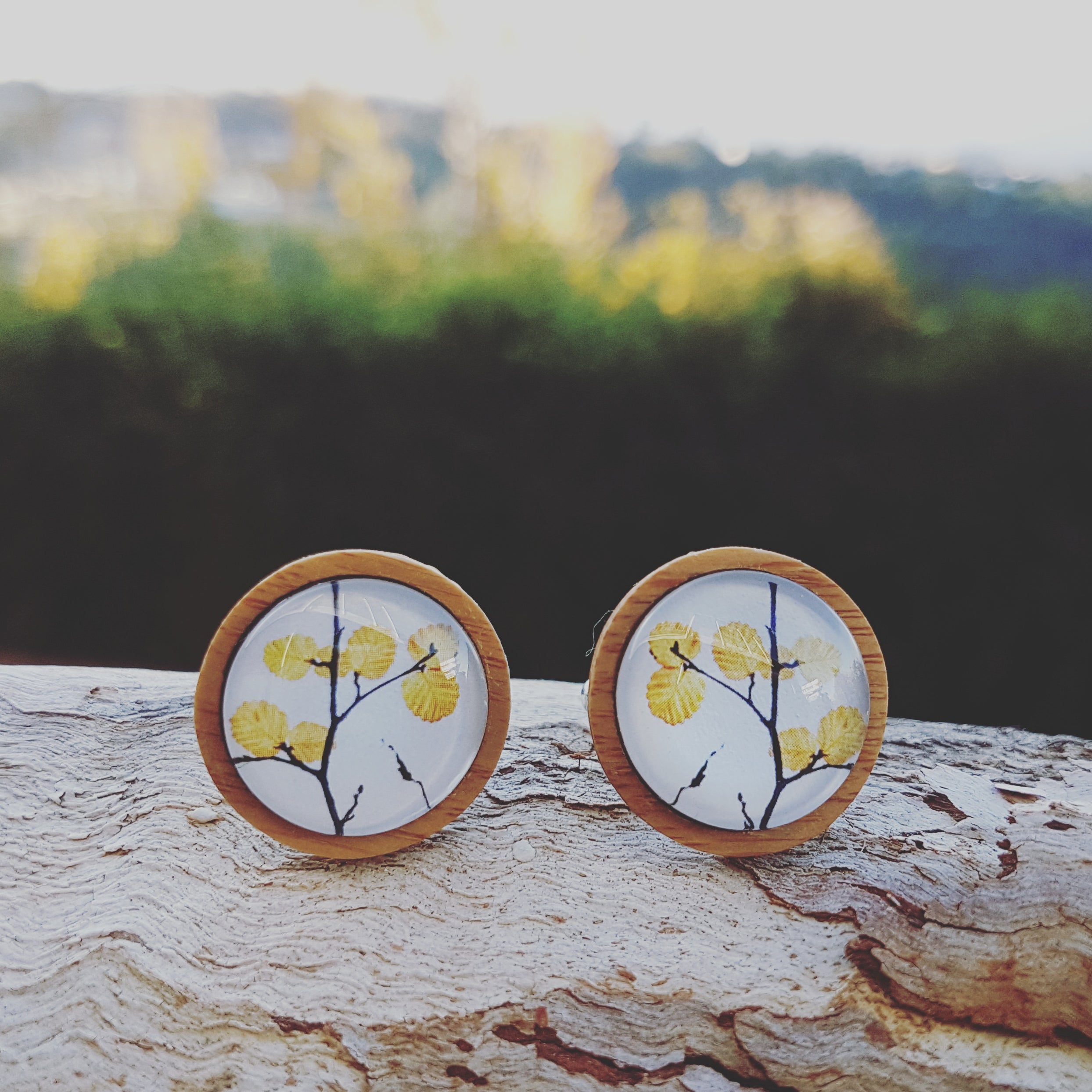 Deciduous Beech - Cufflinks | Myrtle & Me | Handmade Tasmanian Jewellery