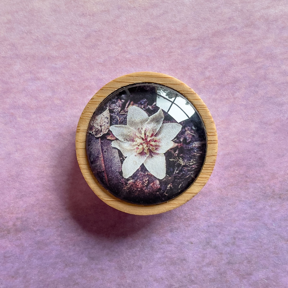 Sassafras Flower - Brooch | Myrtle & Me | Handmade Tasmanian Jewellery